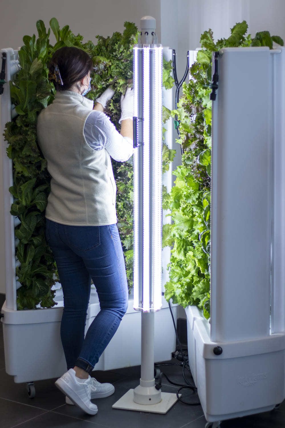 Indoor Hydroponic Farming | Fork Farms