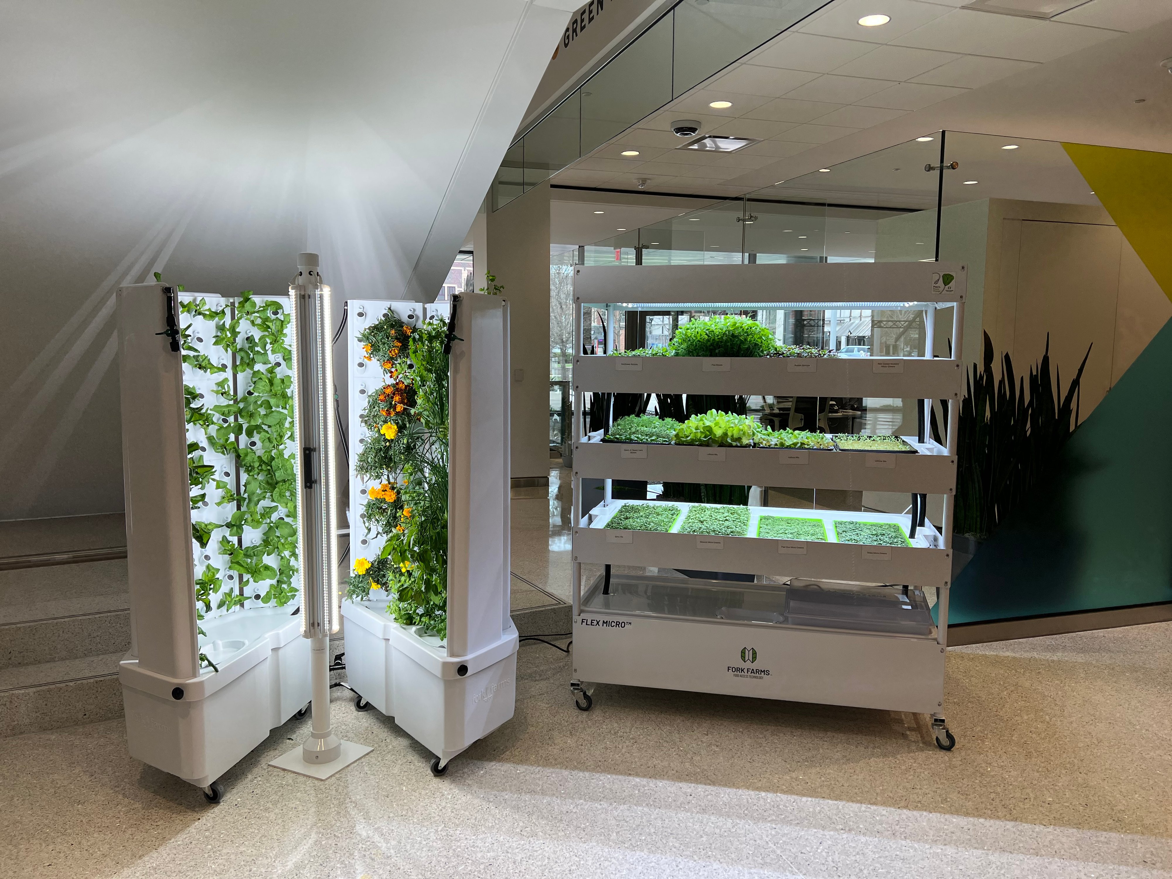 How Hydroponic Flex Farms Drive ESG Success