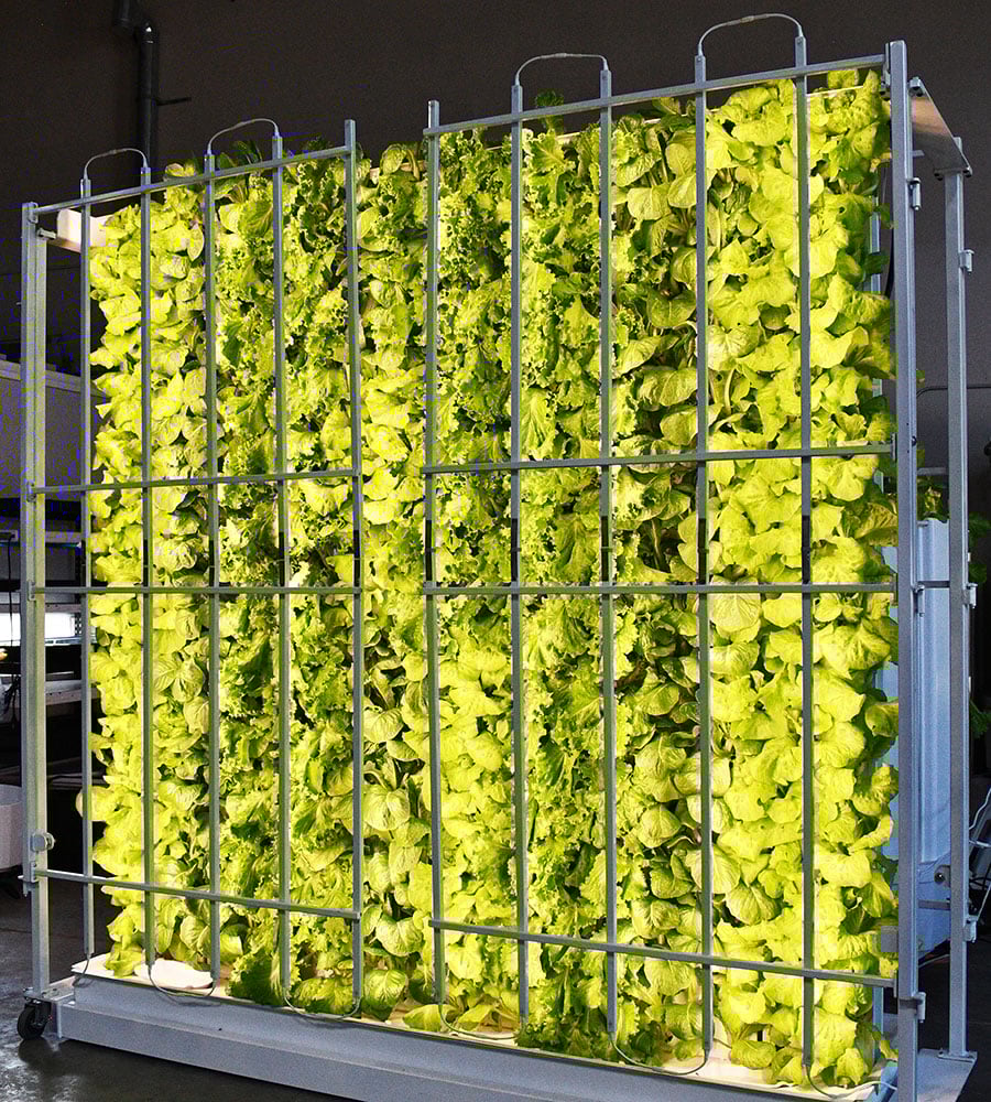 Grow Fresh Food at Scale | Flex Acre | Flex Farms