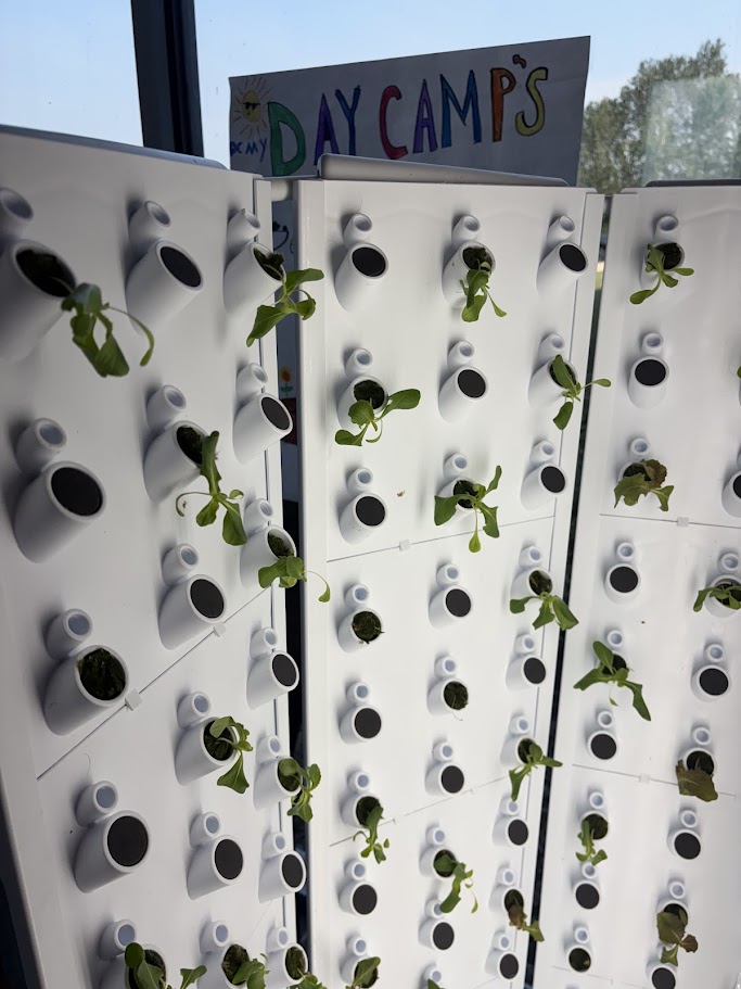 Growing Wellness Together: How the YMCA of Greater Waukesha County is ...