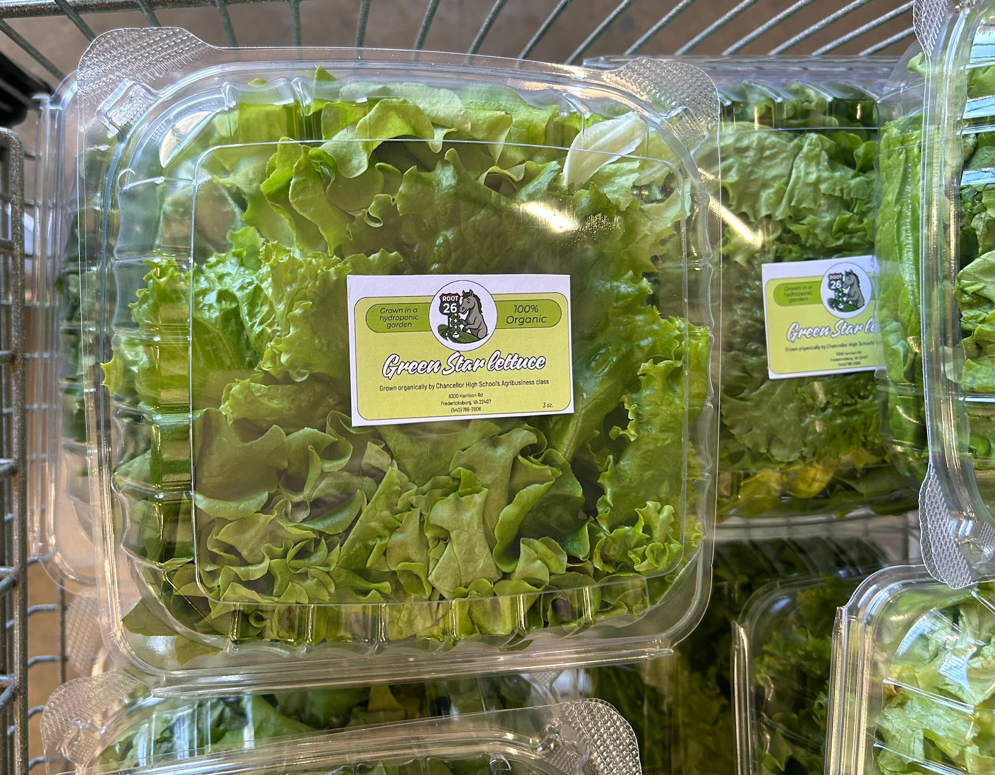 Growing Fresh Food for the Community: Inside Chancellor High School’s ...