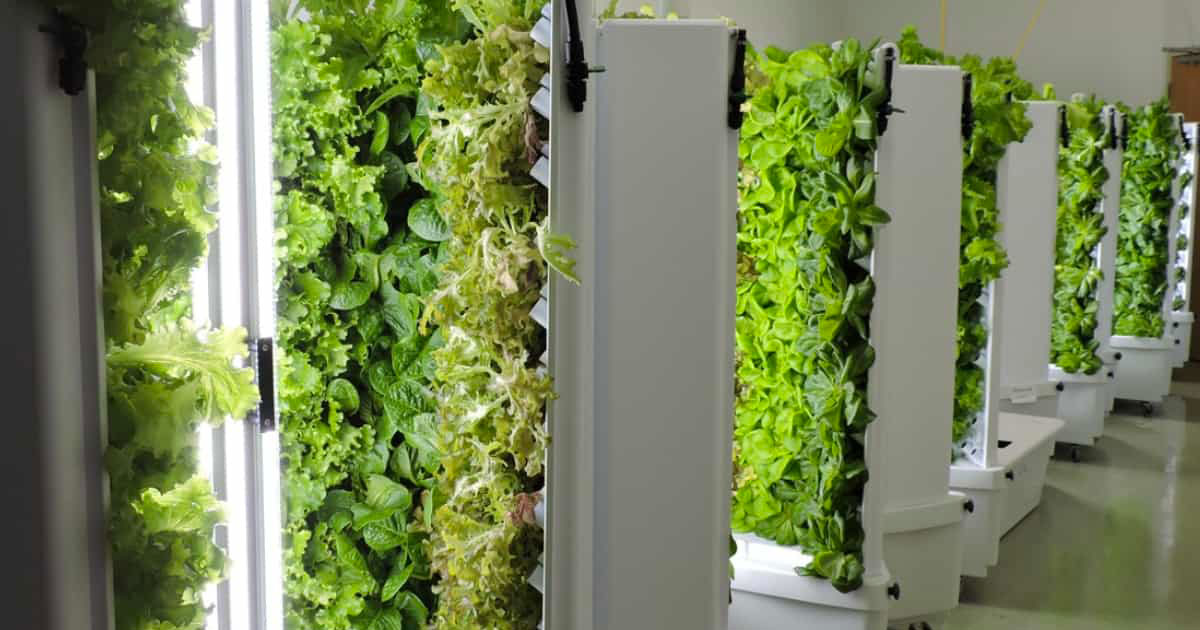 Connect Multiple Vertical Hydroponic Farms | Flex Connect | Flex Farms
